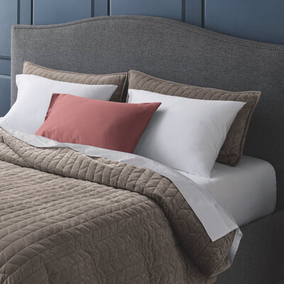Cotton Pillowcase Set | Standard & King Size | Sleep Number